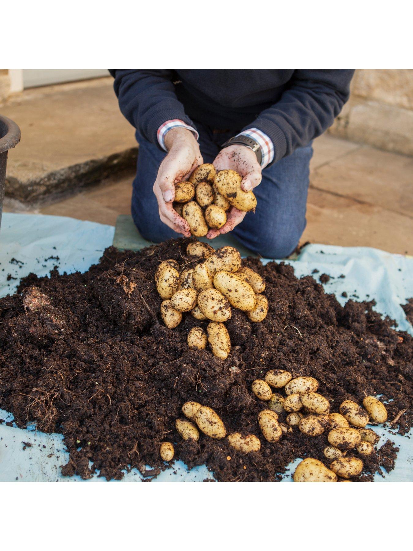 You Garden Complete Patio Potato Growing Kit | Littlewoods