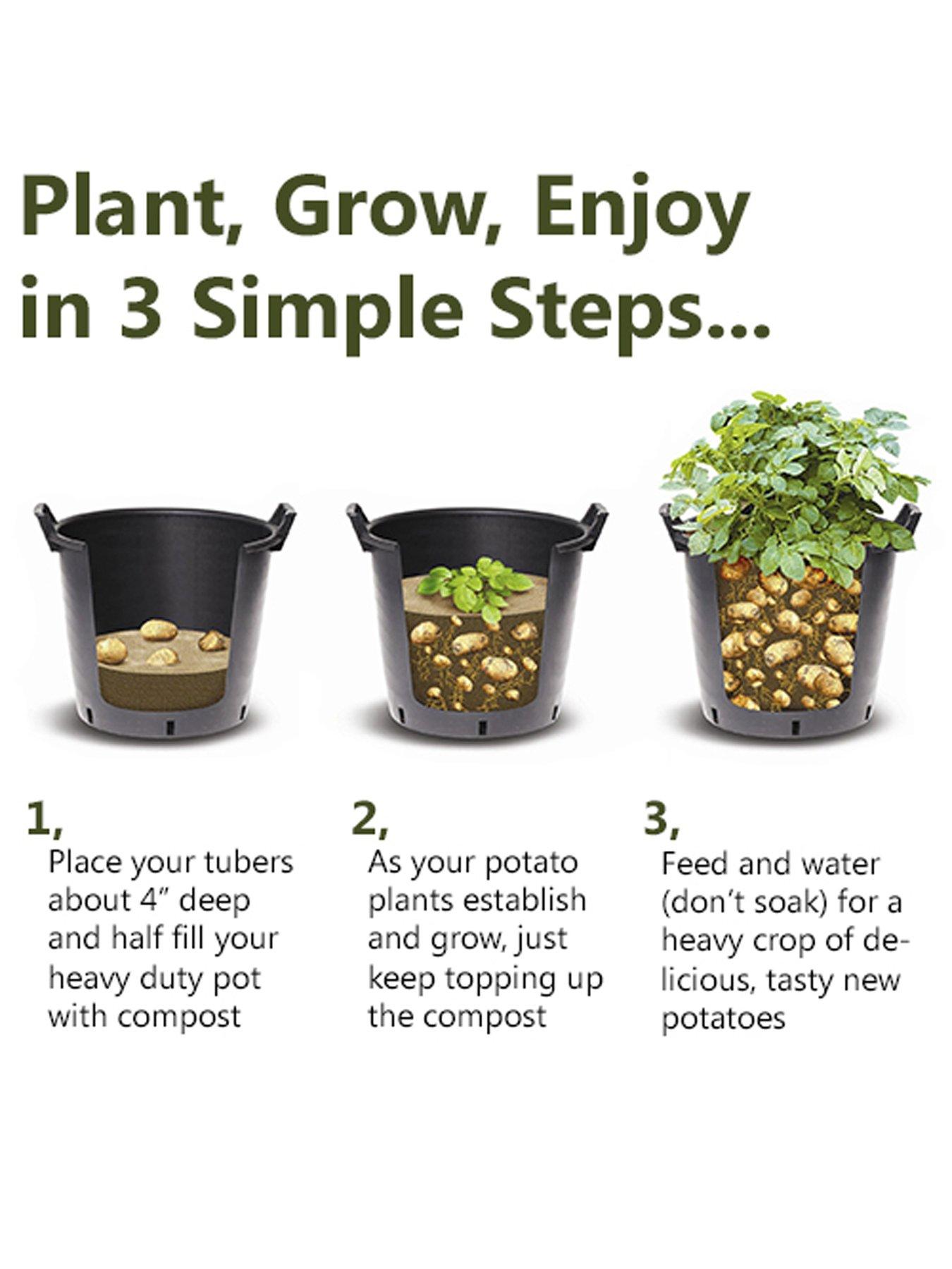 You Garden Complete Patio Potato Growing Kit | Littlewoods