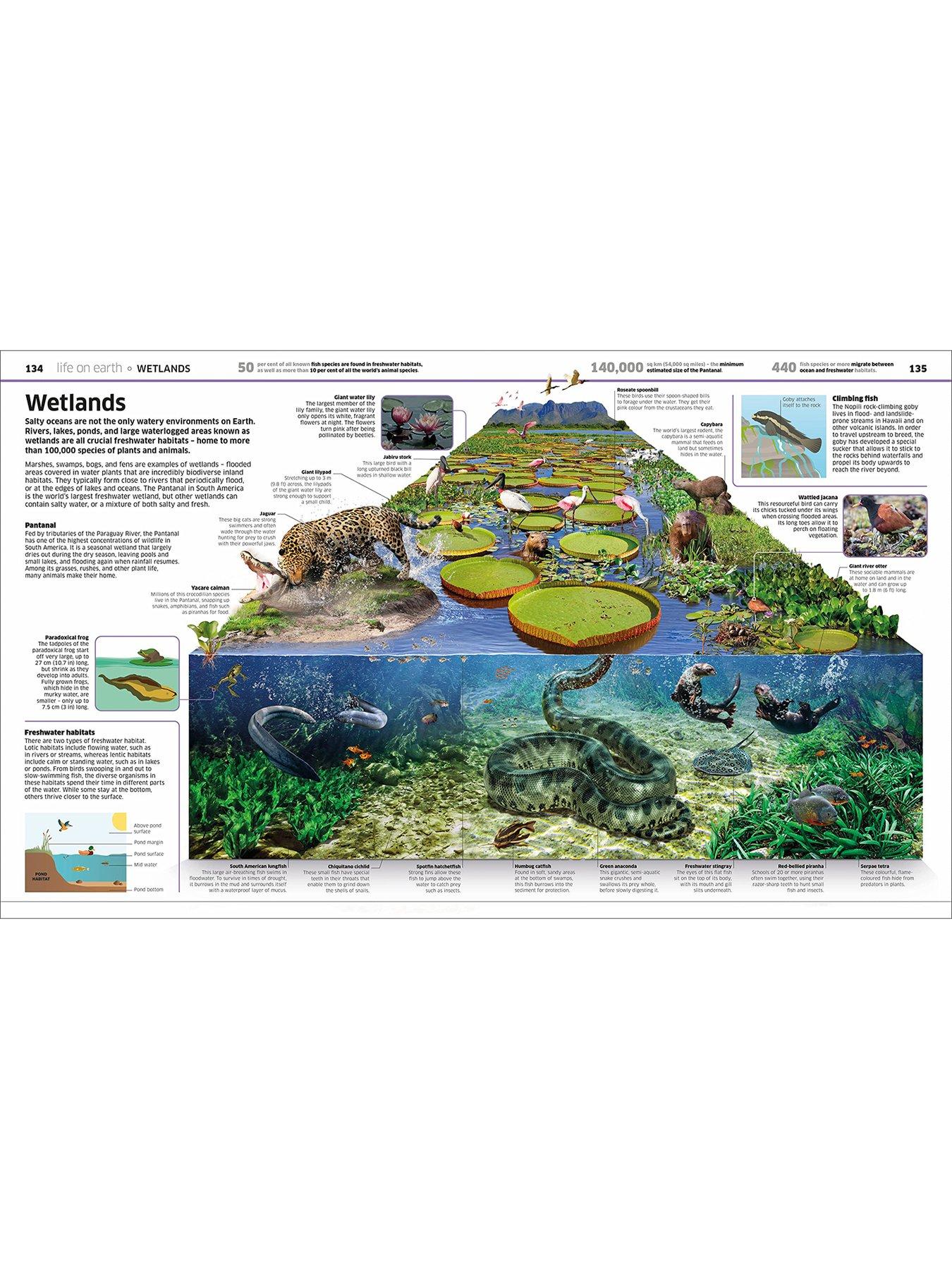 Knowledge Encyclopedia Earth Book | Littlewoods