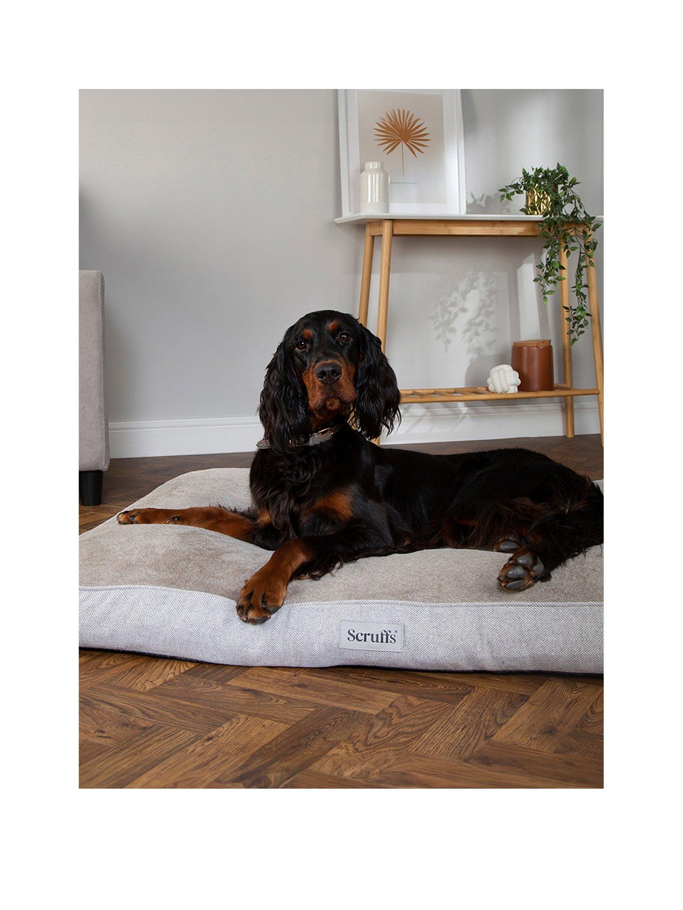 Scruffs Harvard Memory Foam Orthopaedic Mattress (Large) | littlewoods.com