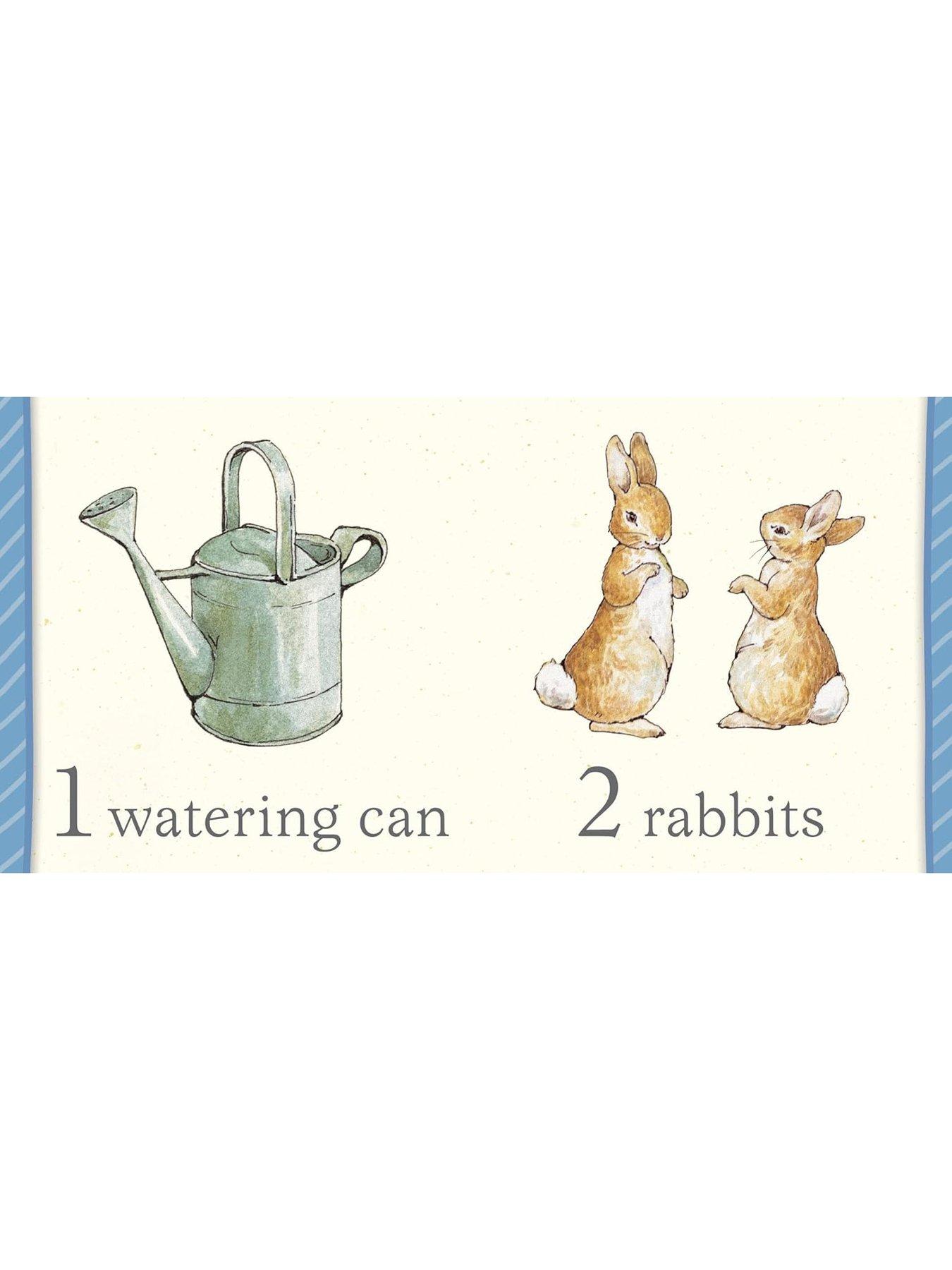 Peter Rabbit My First Little Library 4 Book Set | Littlewoods