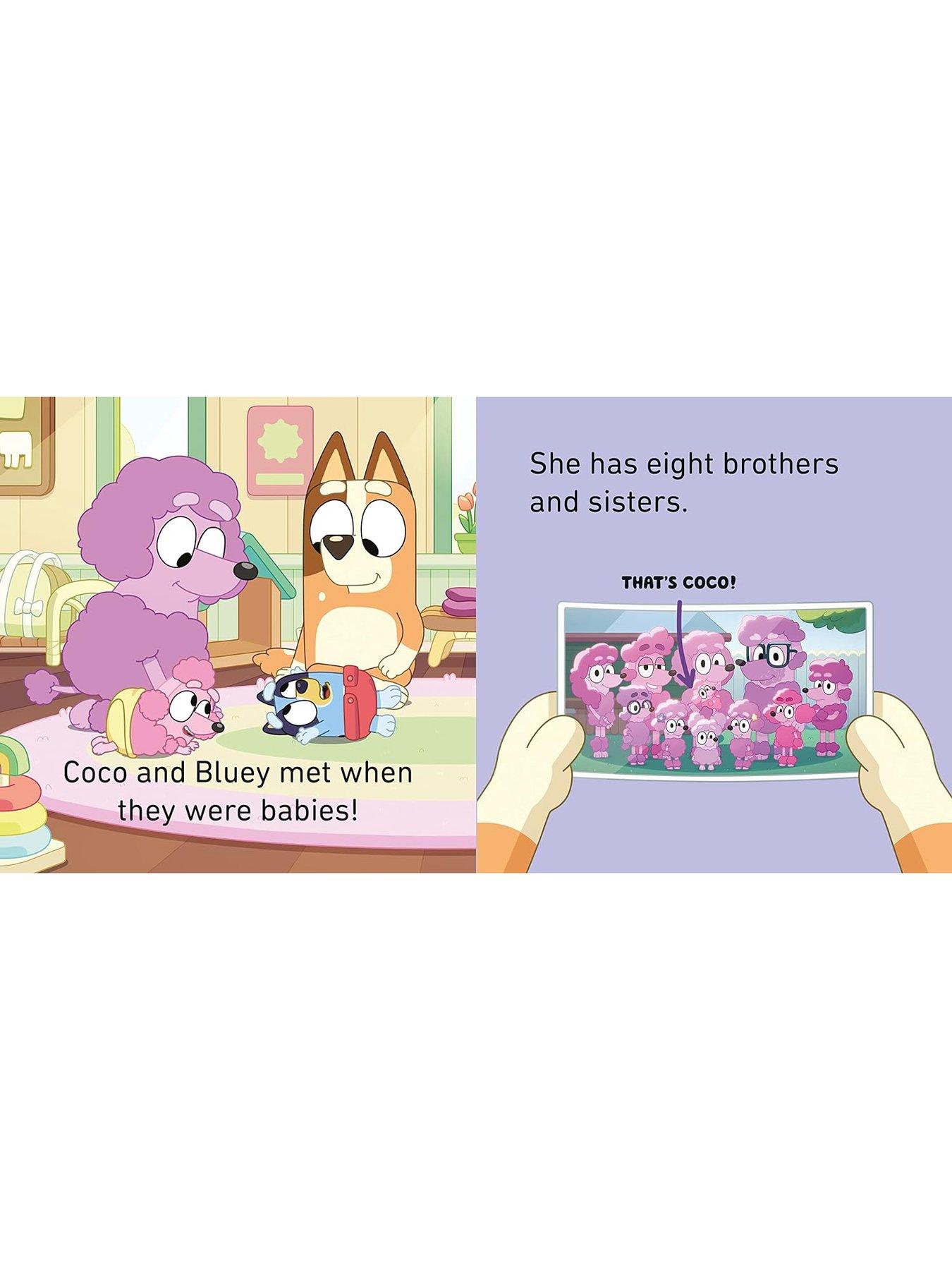 Bluey and Friends Little Library 4 Book Set | Littlewoods