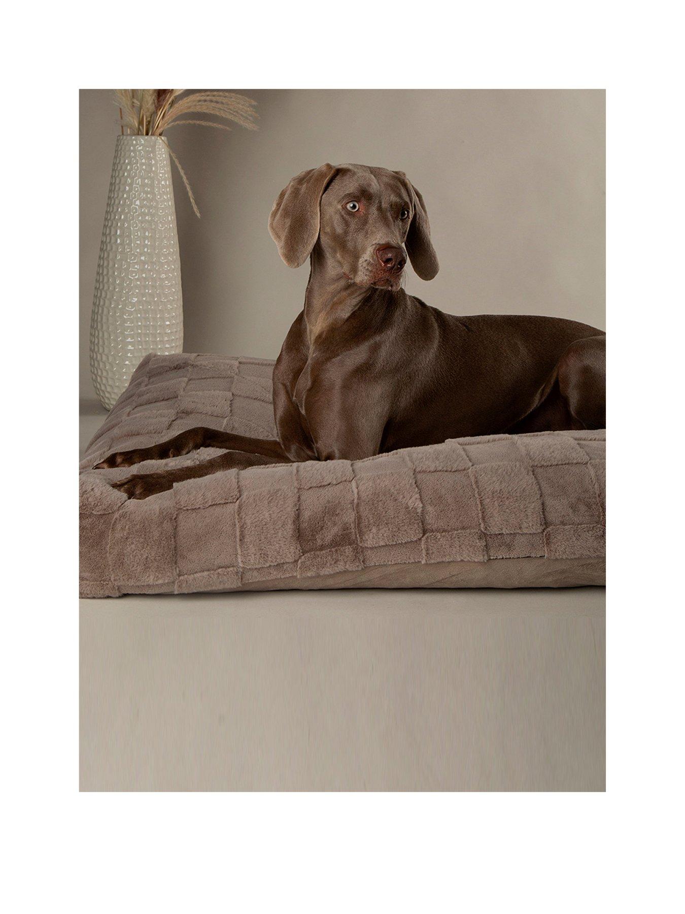 Scruffs Oxford Orthopaedic Mattress - Silver | Littlewoods