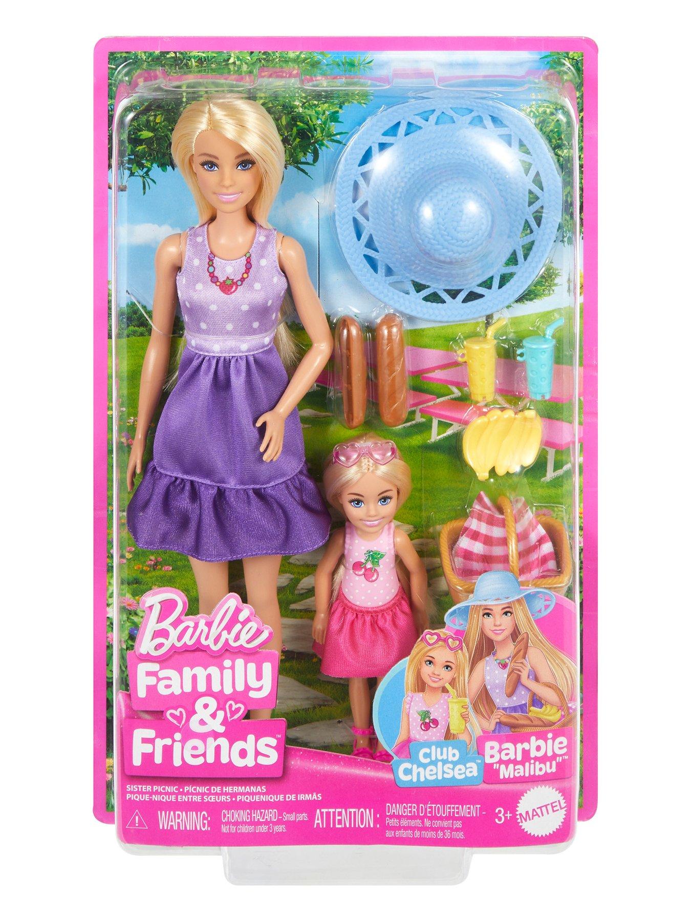 Barbie Family & Friends Dolls, Picnic-Themed Playset with 2 Dolls & 9 ...