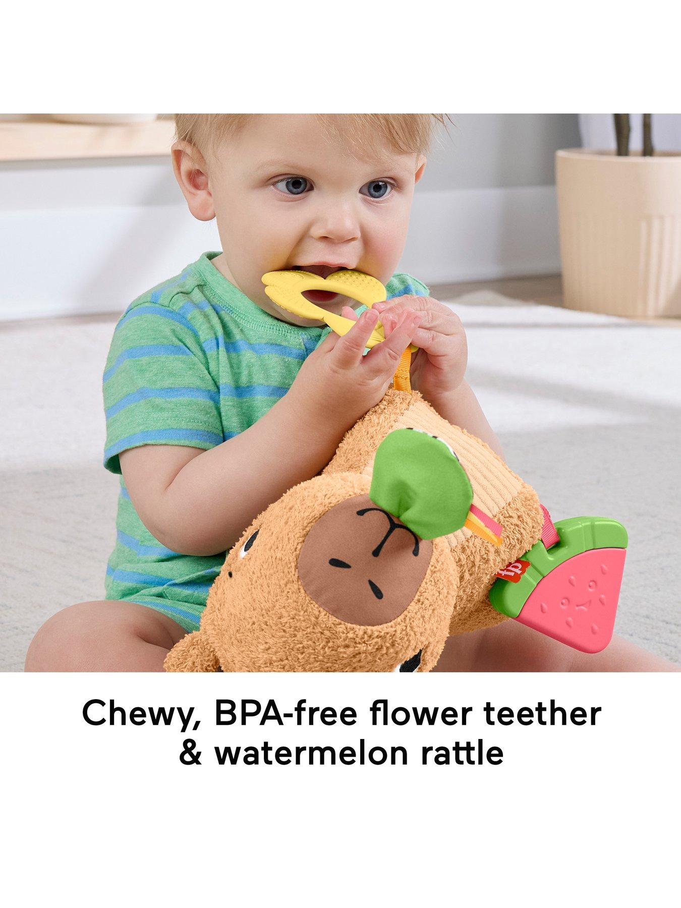 Fisher-Price Snuggly Snacky Capybara Plush Baby Sensory Toy with ...